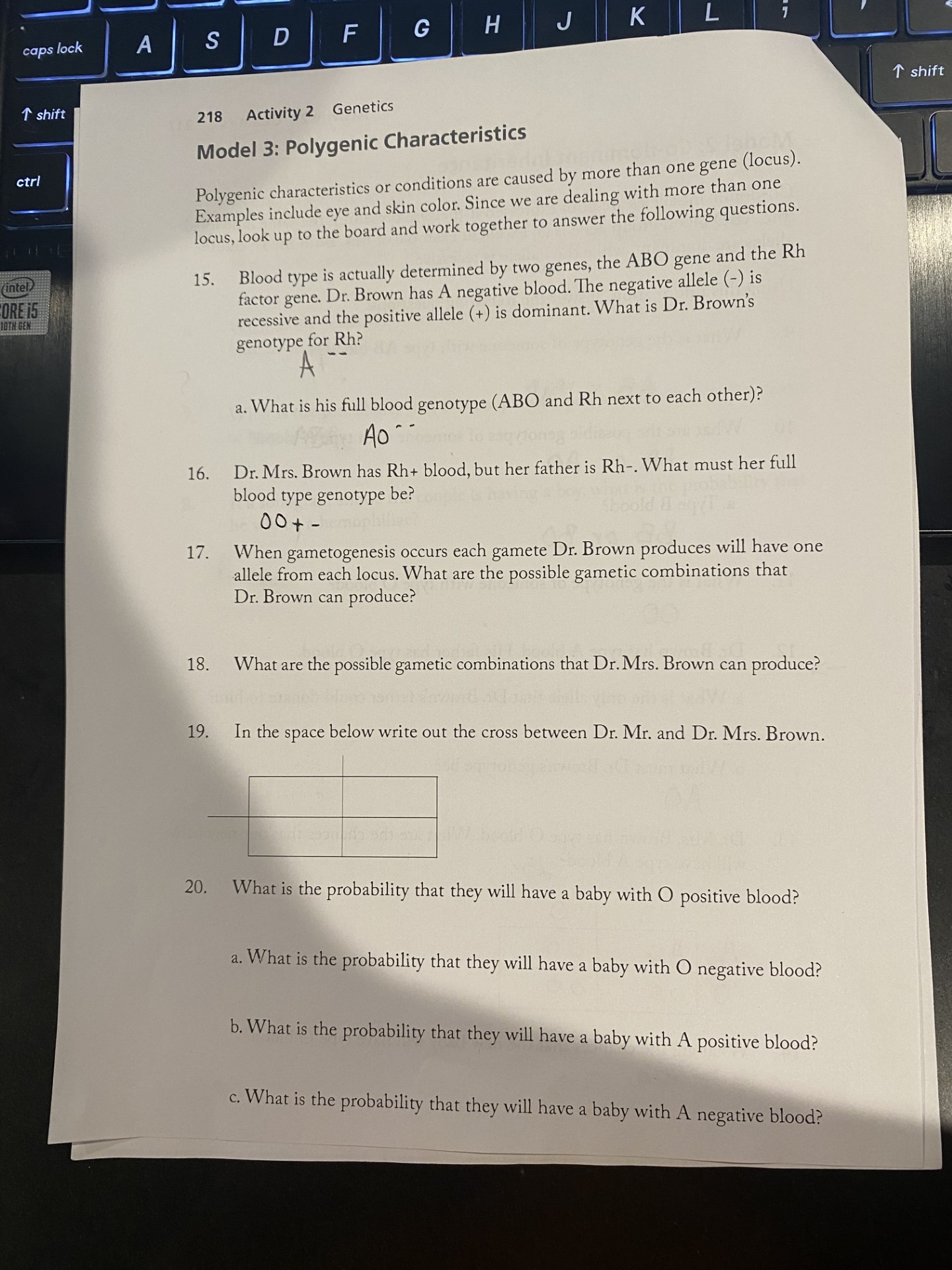 Model 3: Polygenic Characteristics Polygenic | Chegg.com