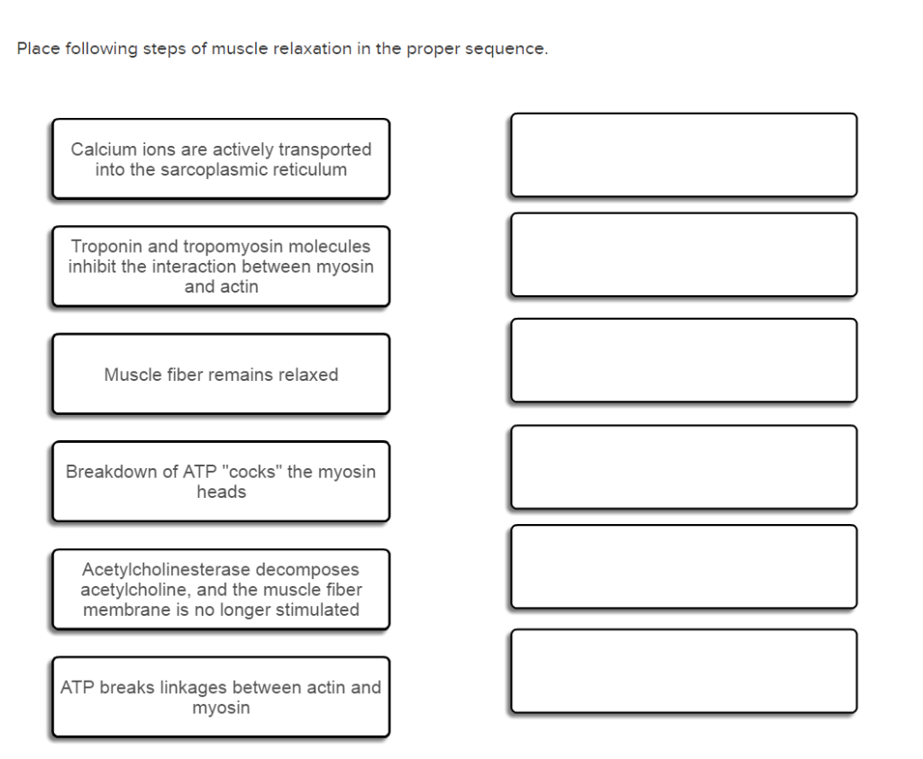 Place the Steps of Muscle Relaxation in the Proper Sequence. - Amari ...