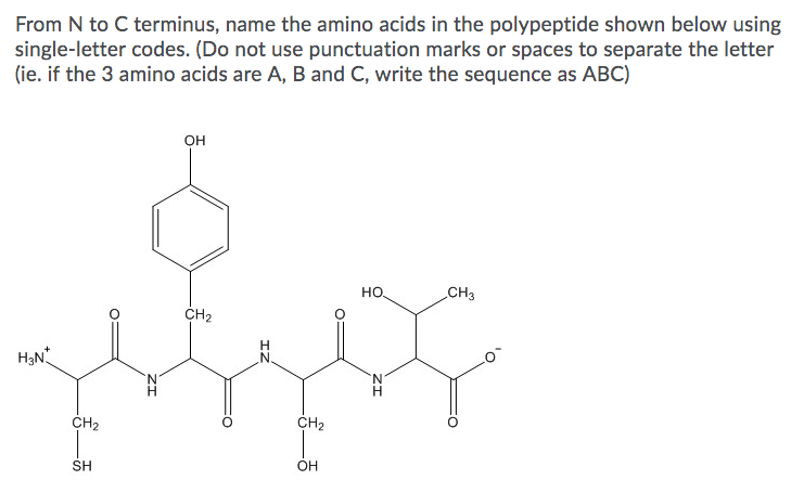Solved From N to C terminus, name the amino acids in the | Chegg.com