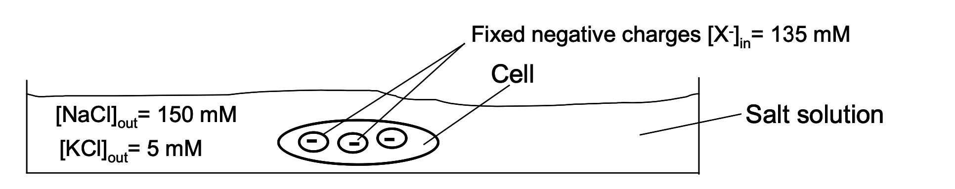 A cell is suspended in a salt solution containing 150 | Chegg.com
