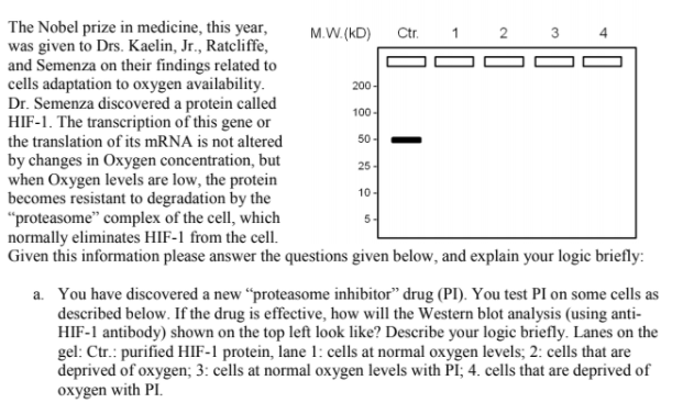Solved 1 TO 200- 100- 50- 25 10- The Nobel prize in | Chegg.com