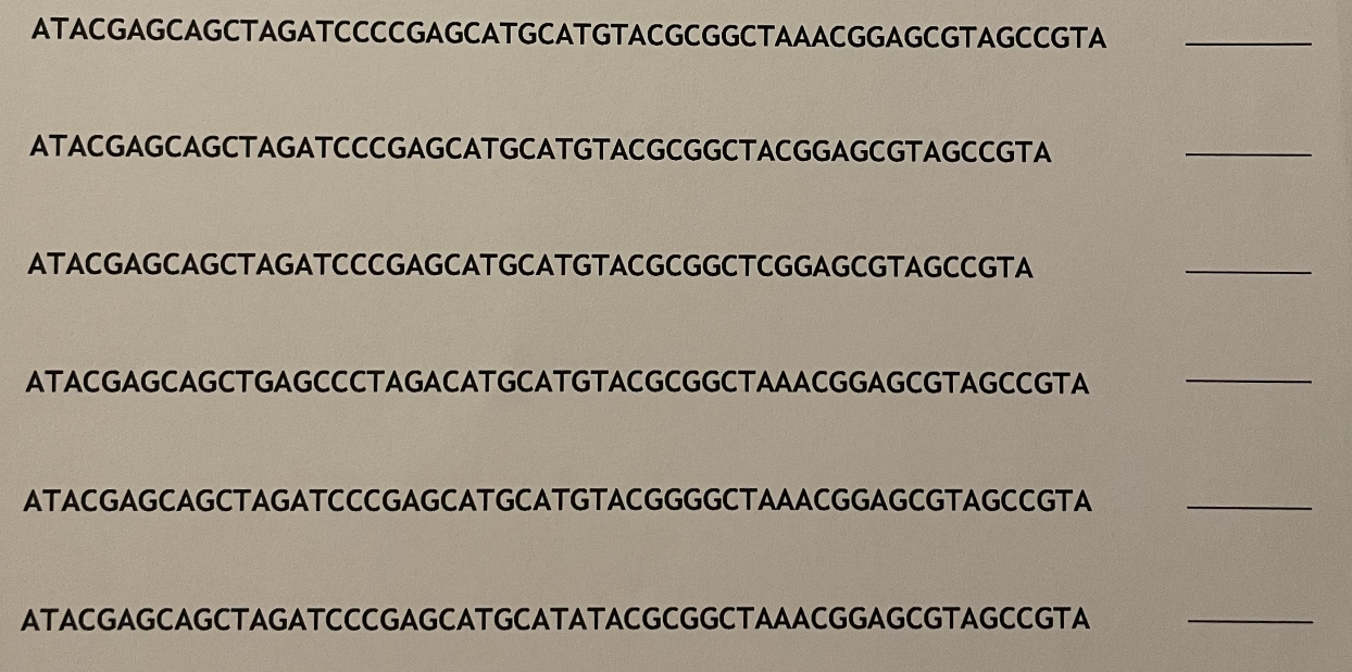 Solved This is the DNA sequence from the 5' end of a | Chegg.com