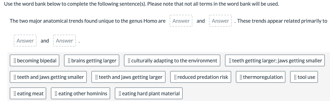 Word Bank Complete Sentences