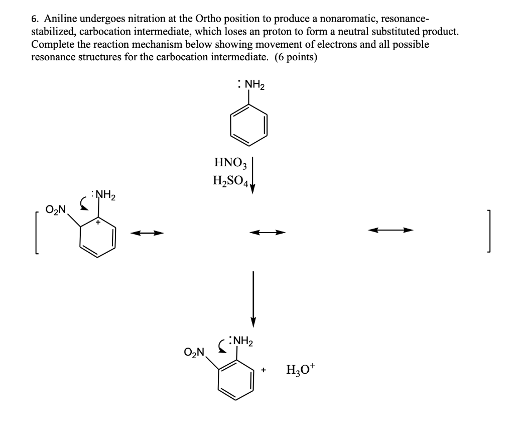 Solved 6. Aniline undergoes nitration at the Ortho position | Chegg.com