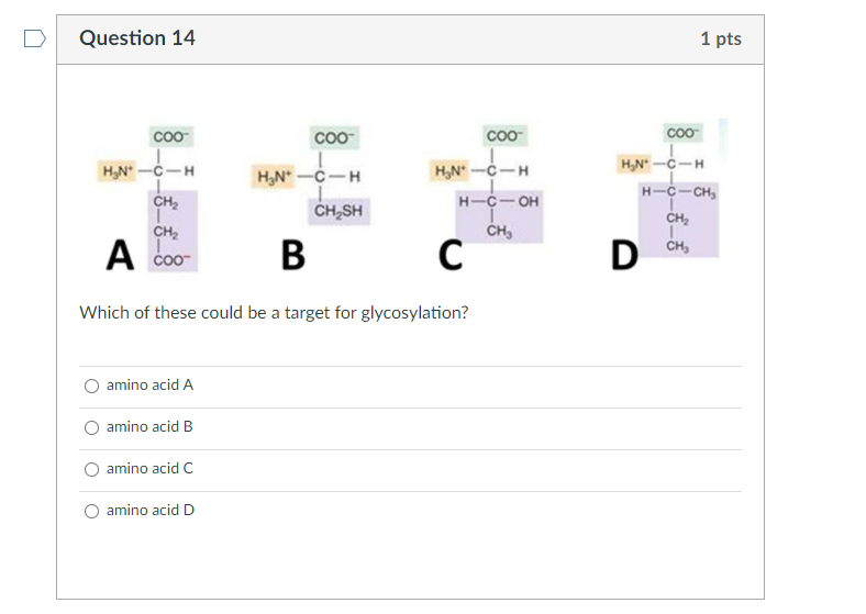 Solved Question 13 1 pts COO COO COO COO HN -H CH2 CH2 Coo | Chegg.com