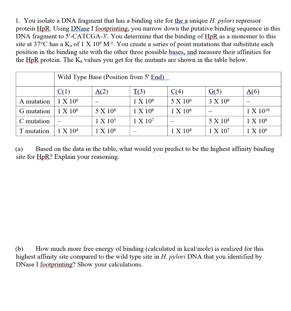 1. You isolate a DNA fragment that has a binding site | Chegg.com