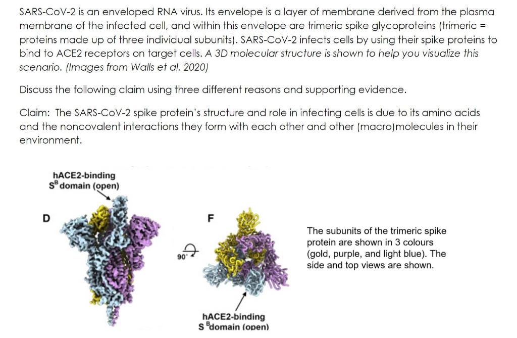 Solved SARS-CoV-2 is an enveloped RNA virus. Its envelope is | Chegg.com