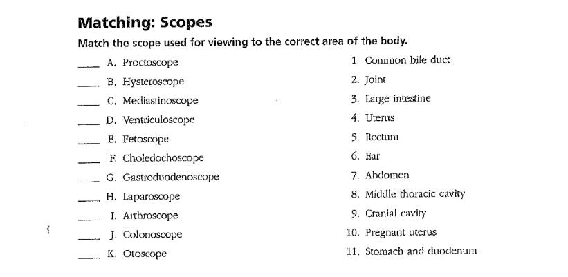 Solved Natching: Scopes Match the scope used for viewing to | Chegg.com