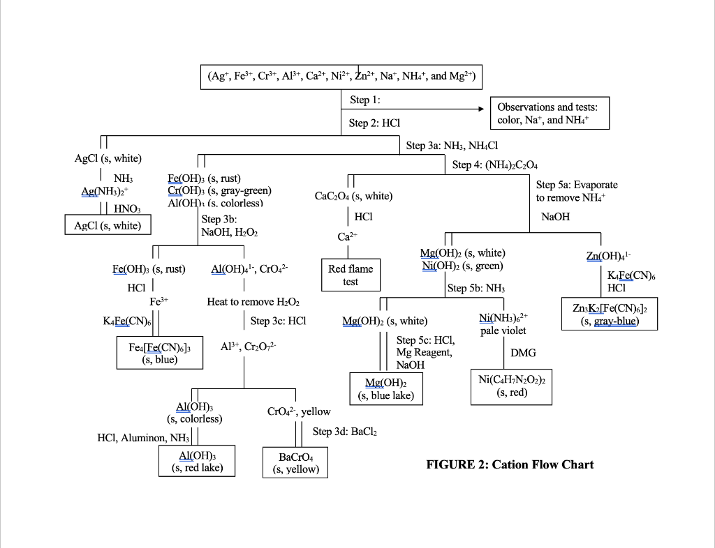 Solved Use the attached flow chart of a qualitative analysis | Chegg.com