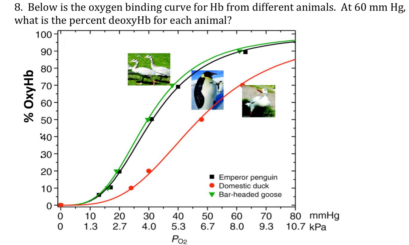 Solved 8. Below is the oxygen binding curve for Hb from | Chegg.com