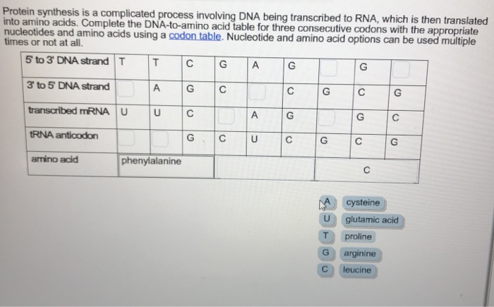 Solved Protein synthesis is a complicated process involving | Chegg.com