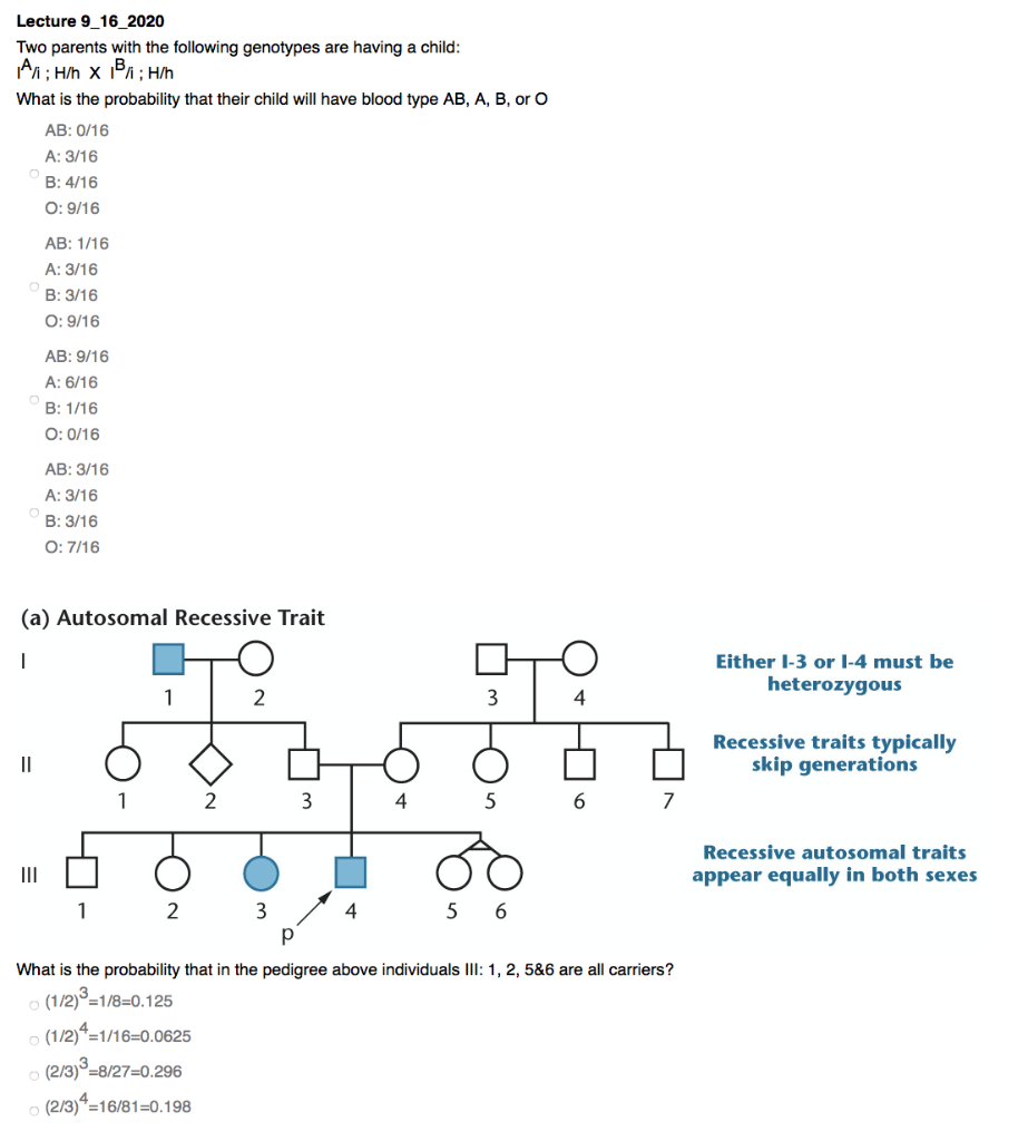 Solved Lecture 9_16_2020 Two parents with the following | Chegg.com