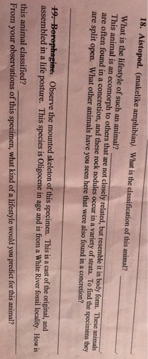 Solved 18. Aistopod. (snakelike amphibian). What is the | Chegg.com