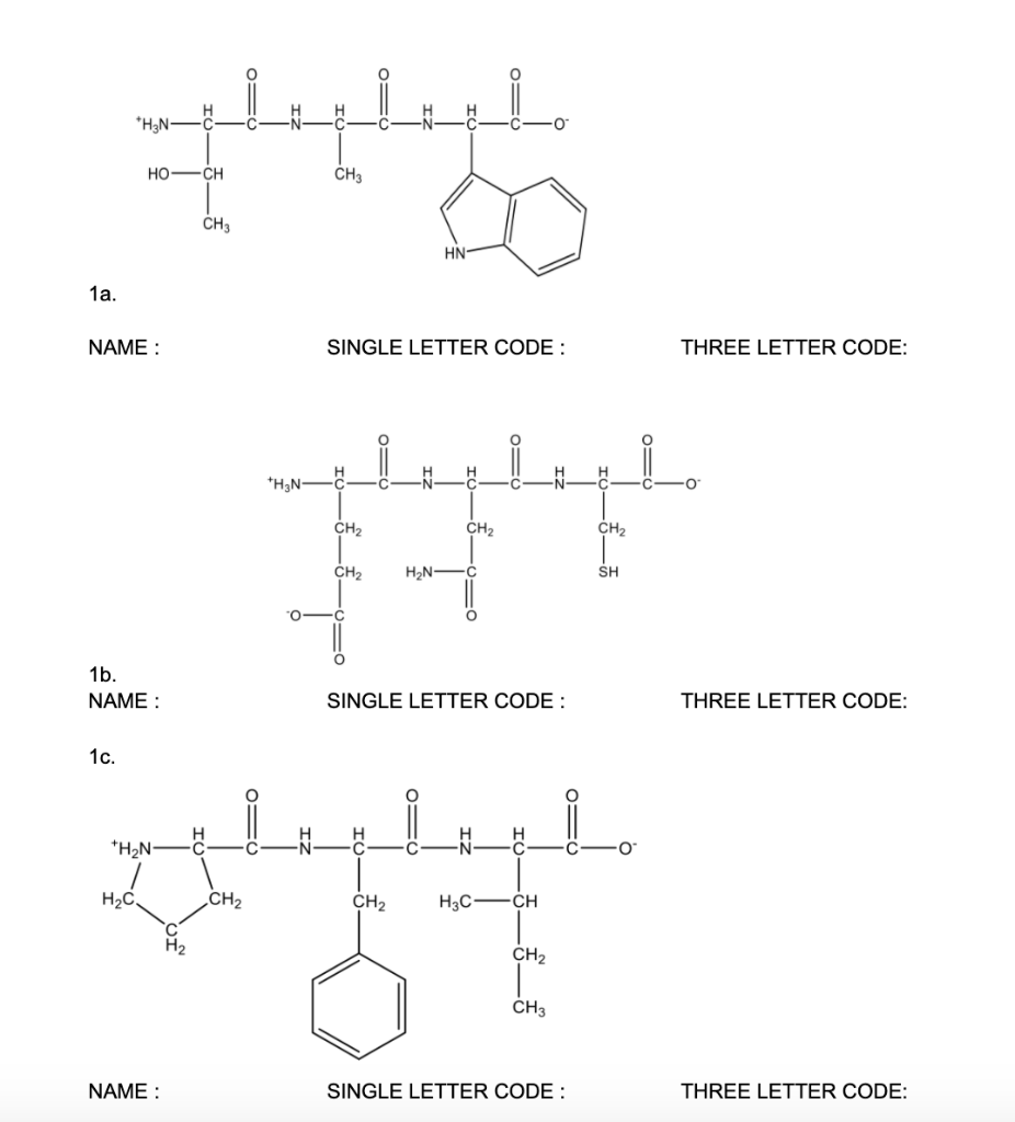 Solved *H2N- HOCH CH3 CH3 HN 1a. NAME : SINGLE LETTER CODE: | Chegg.com