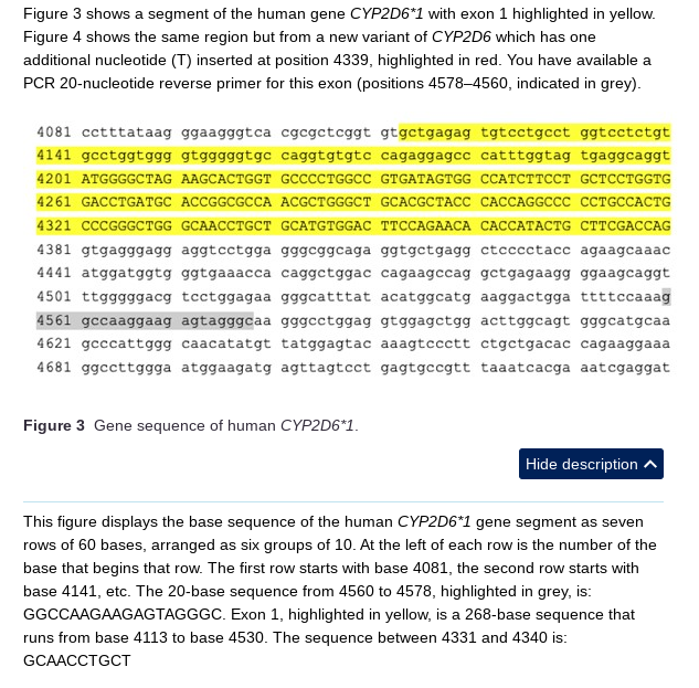 Figure 3 shows a segment of the human gene CYP2D6∗1 | Chegg.com