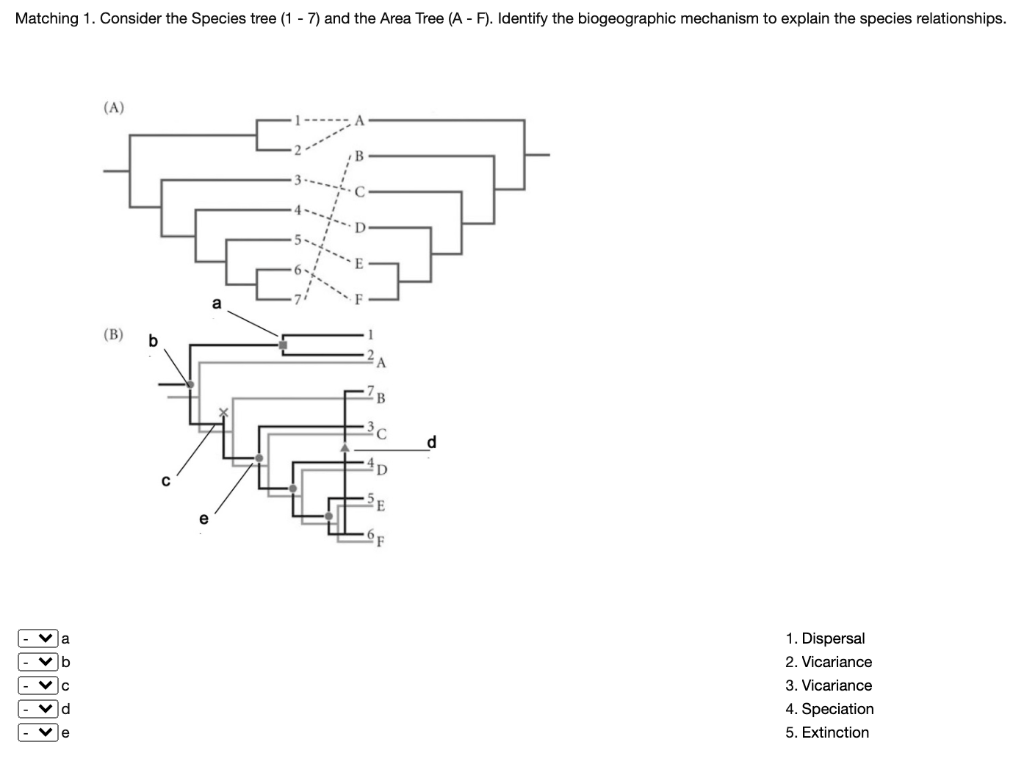 Solved 1. Sepkoski's Evolutionary Fauna comprised | Chegg.com