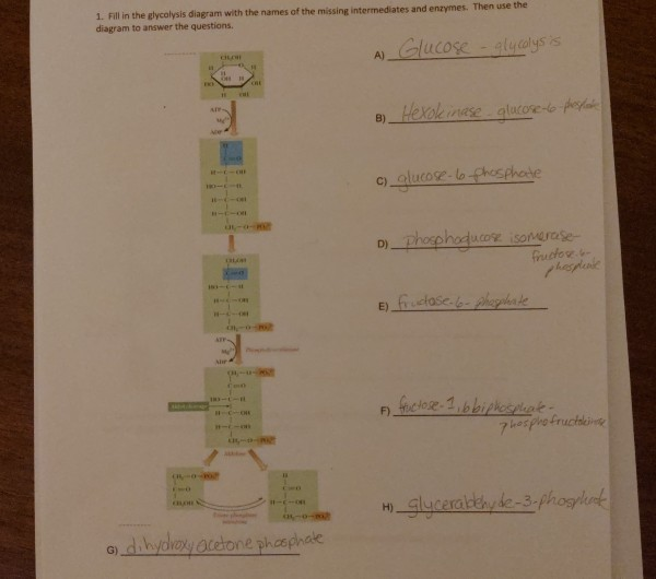 ch step is an illustration of a reverse aldol | Chegg.com