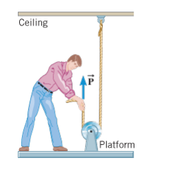 Solved A worker on a platform wishes to raise himself (and | Chegg.com