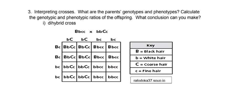 Solved 3. Interpreting crosses. What are the parents' | Chegg.com