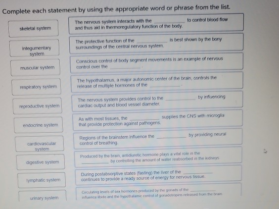 Solved Complete each statement by using the appropriate word | Chegg.com