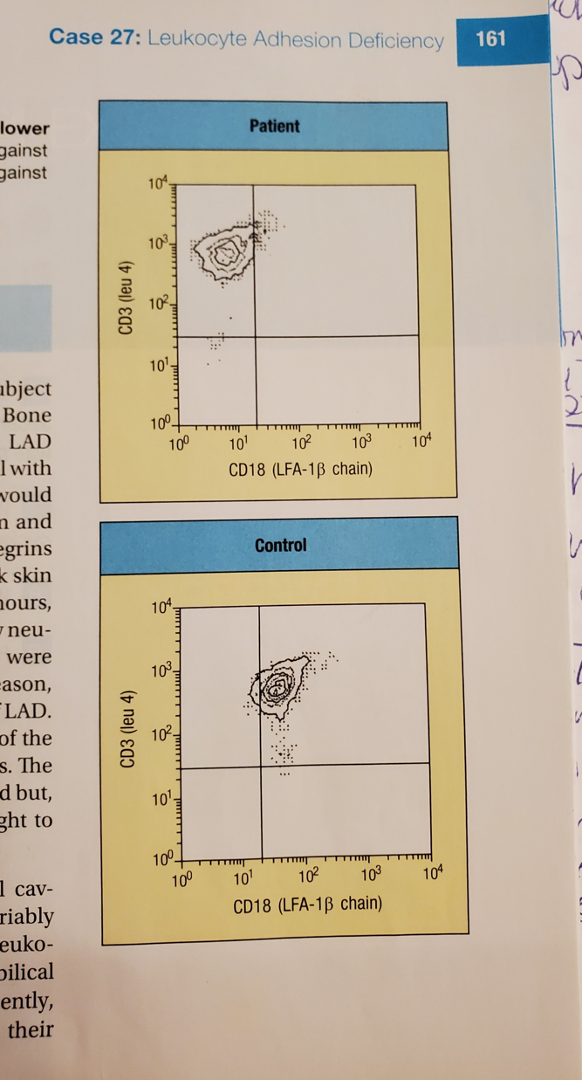 A patient walked into your clinic with Leukocyte | Chegg.com