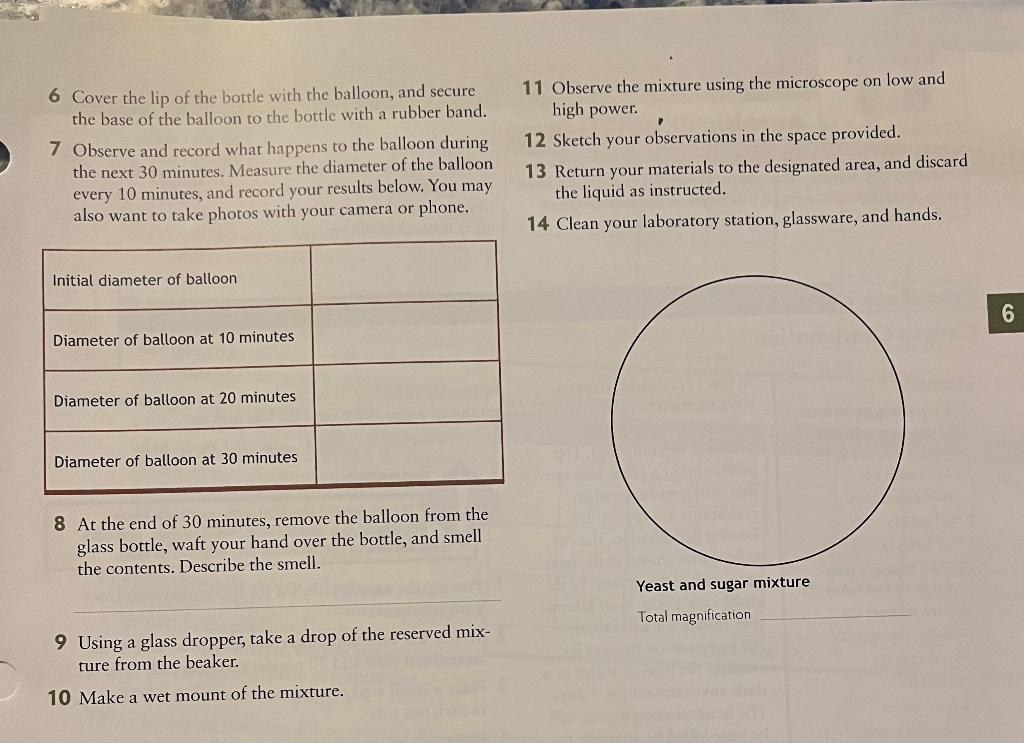 A Demonstrating Yeast Fermentation Exploring Biology | Chegg.com