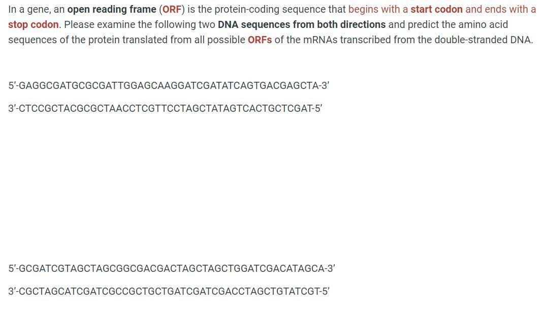In a gene, an open reading frame (ORF) is the | Chegg.com