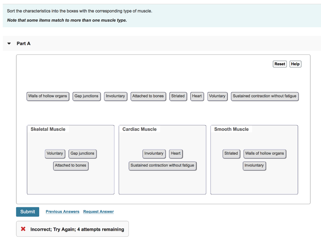 Solved Sort the characteristics into the boxes with the | Chegg.com