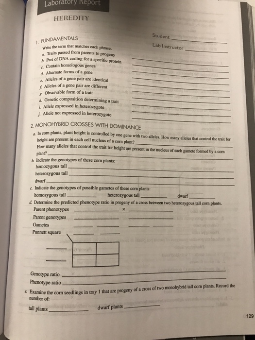 Solved Laboratory Report HEREDITY Student 1. FUNDAMENTALS | Chegg.com
