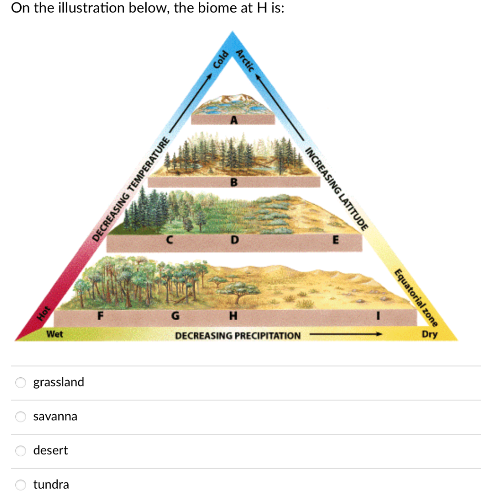 Solved On the illustration below, the biome at H is: | Chegg.com
