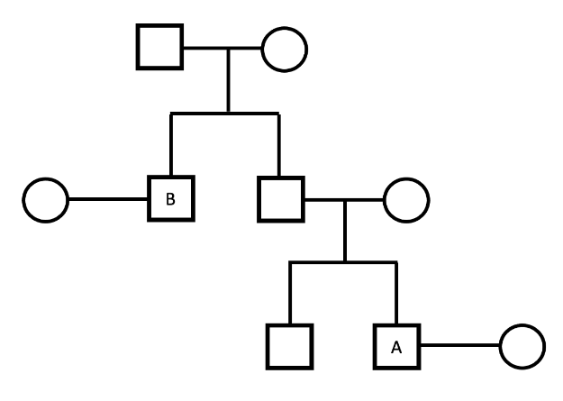 Solved Please help me to solve for the questions below! | Chegg.com
