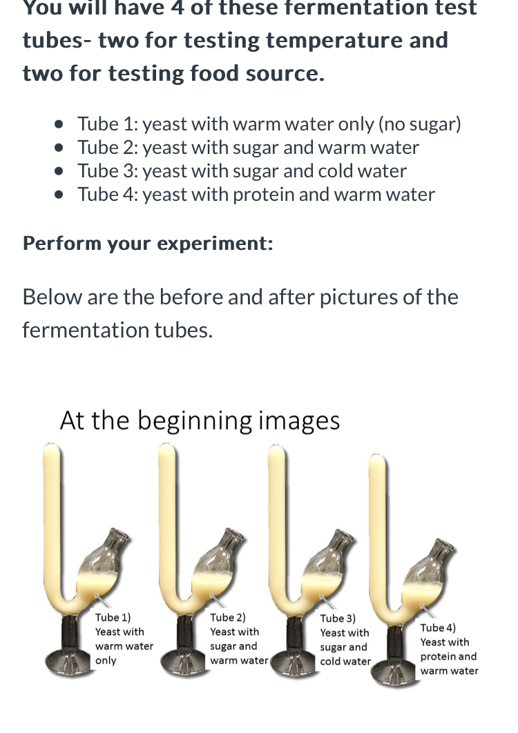 Solved Design your experiment For fermentation, we will be | Chegg.com