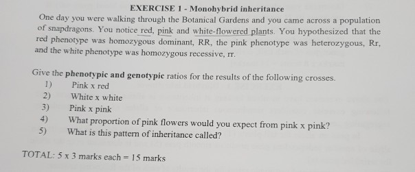 Solved EXERCISE 1 - Monohybrid inheritance One day you were | Chegg.com