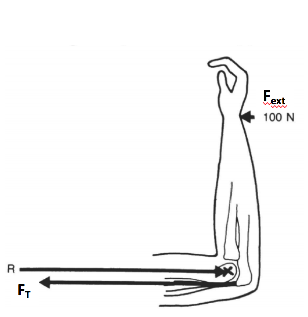 Solved We now apply an external force of 100 N and ask our | Chegg.com
