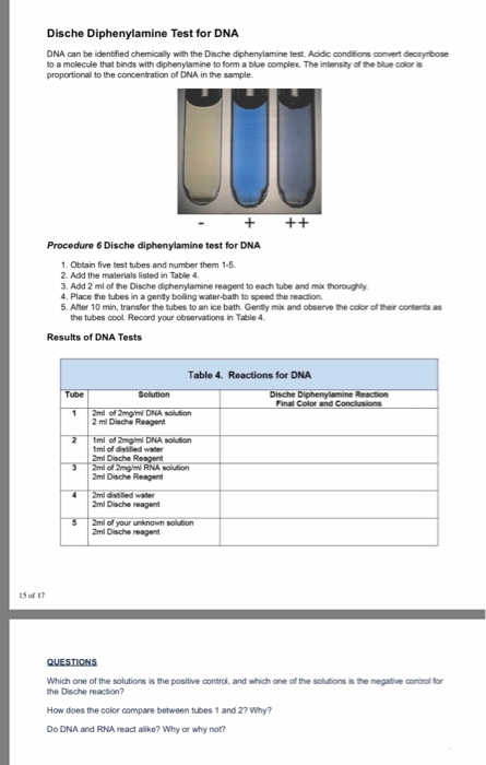 Solved Dische Diphenylamine Test for DNA DNA can be | Chegg.com