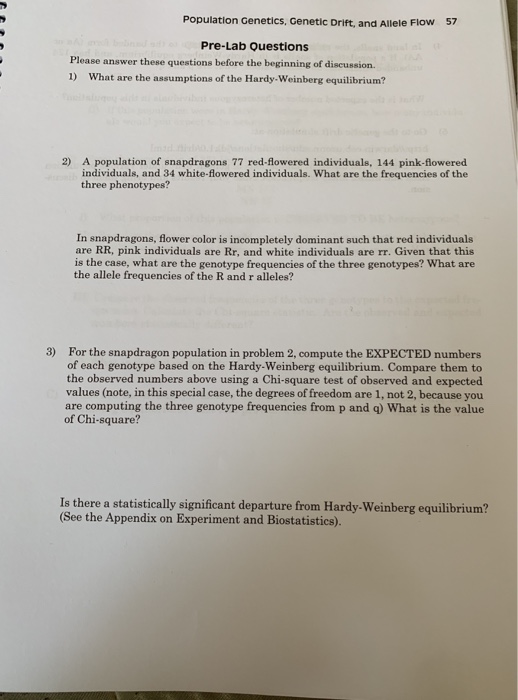Solved Population Genetics, Genetic Drift, and Allele Flow | Chegg.com