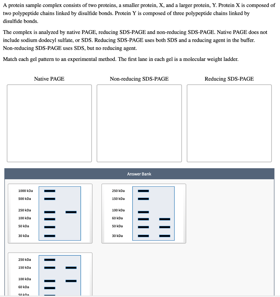 Solved A protein sample complex consists of two proteins, a | Chegg.com