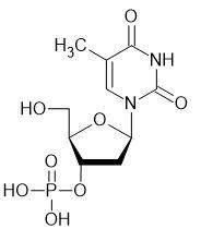 Solved Identify the constituents of this nucleotide: a. | Chegg.com