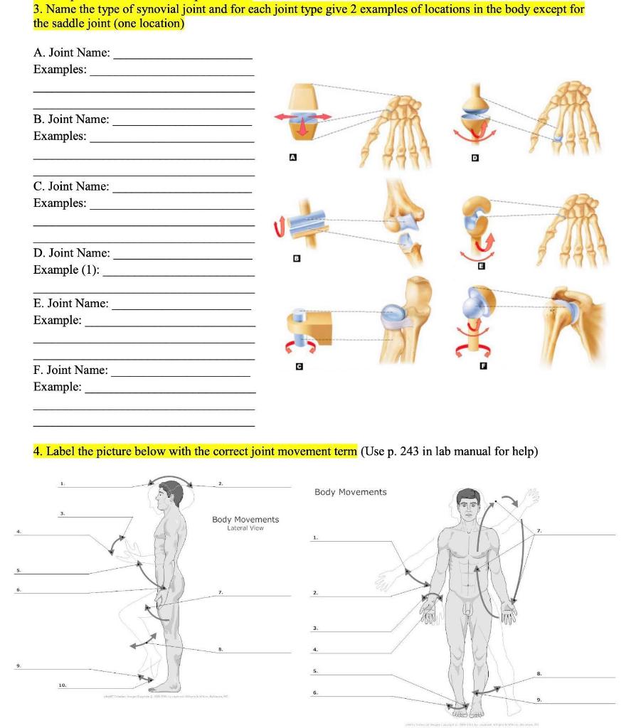 Solved Articulation Chart- From your knowledge of how the | Chegg.com