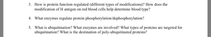 Solved 3. How is protein function regulated (different types | Chegg.com
