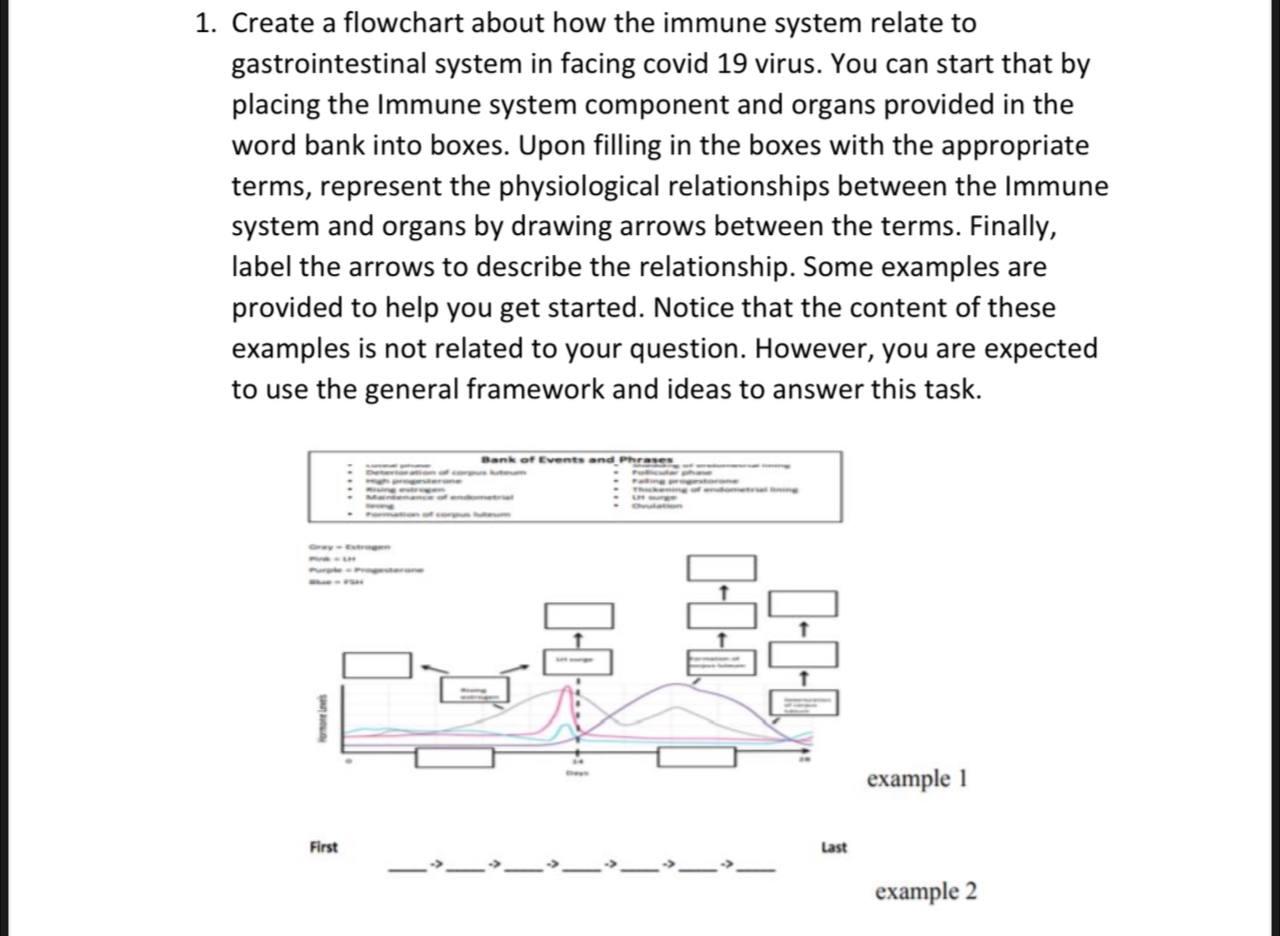 Solved 1. Create a flowchart about how the immune system | Chegg.com