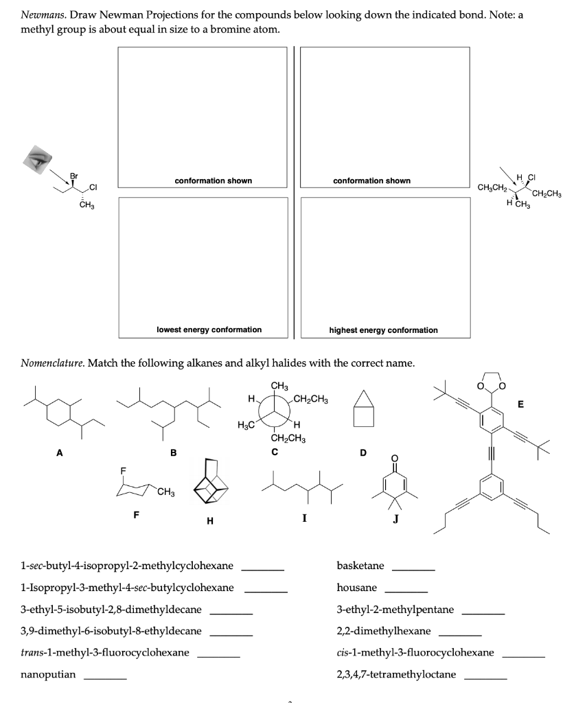 Solved Newmans. Draw Newman Projections for the compounds | Chegg.com