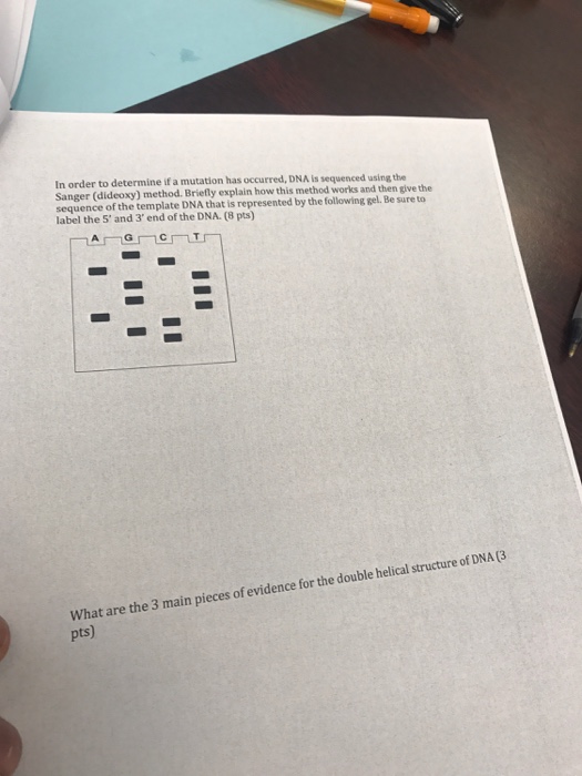 Solved In order to determine if a mutation has occurred, DNA | Chegg.com
