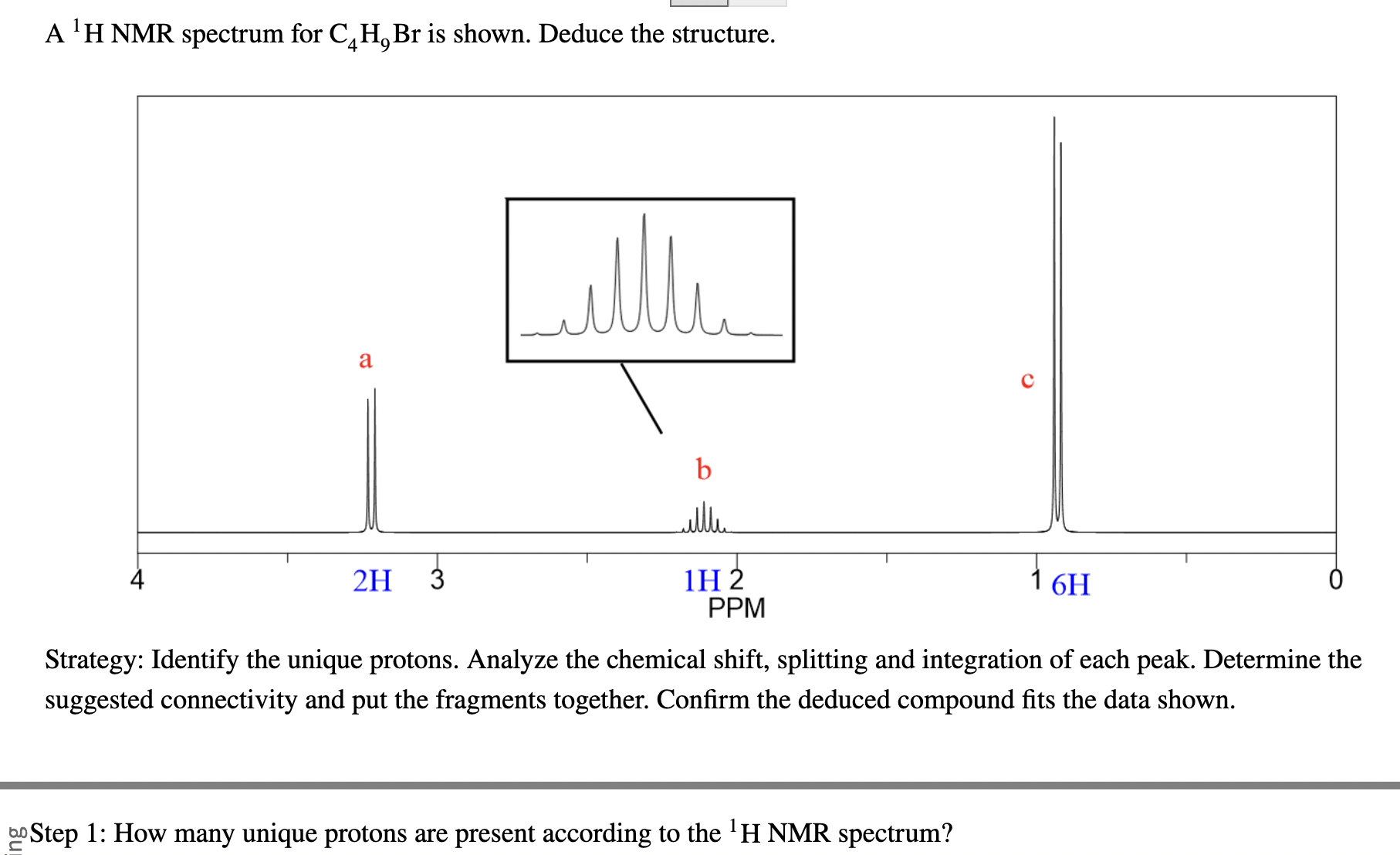 Solved Sostep 1: How many unique protons are present | Chegg.com