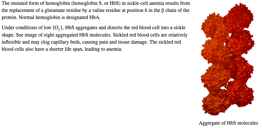Solved The mutated form of hemoglobin (hemoglobin S, or HbS) | Chegg.com