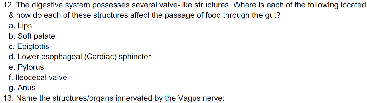 Solved 12. The digestive system possesses several valve-like | Chegg.com