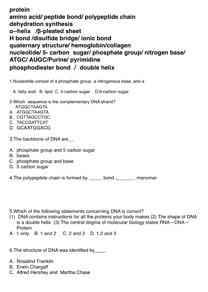 Solved protein amino acid/ peptide bond/ polypeptide chain | Chegg.com