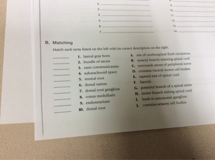 Solved 2. 9. 3. 10. 5. 12 13. 6. B. Matching Match each term | Chegg.com