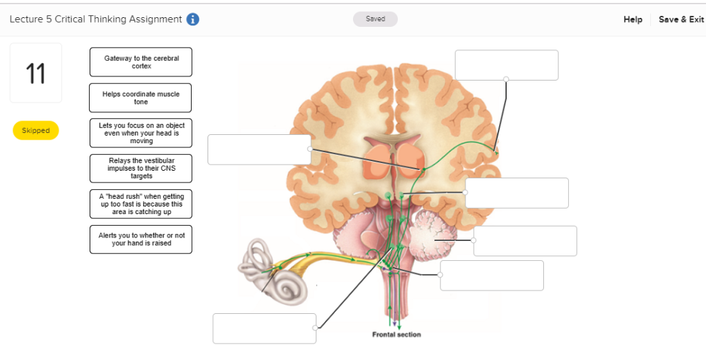 Solved Read each scenario or description on the left. Then | Chegg.com