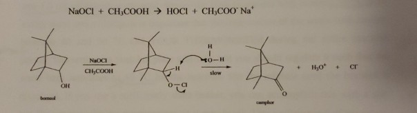 Solved NaOCI + CH,COOH → HOCI + CH,COO Na 30-H NaOCI сісоон | Chegg.com